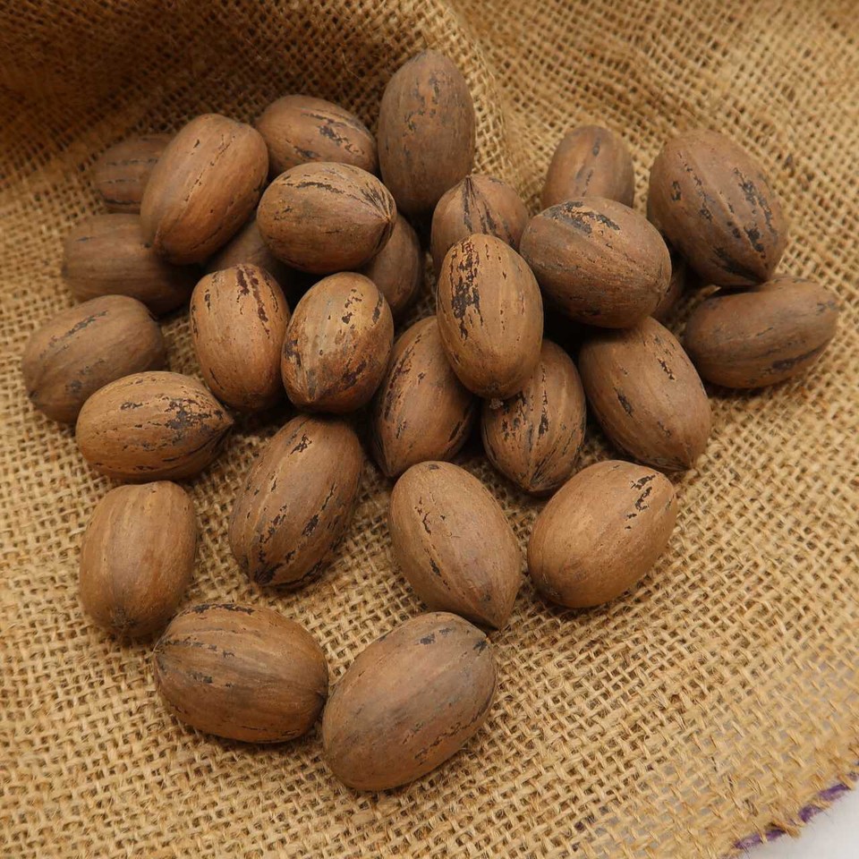 Whole Paper Shell Pecans by the pound | eBay
