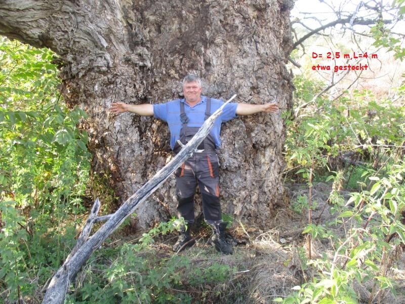 Plotzke | eBay Shops