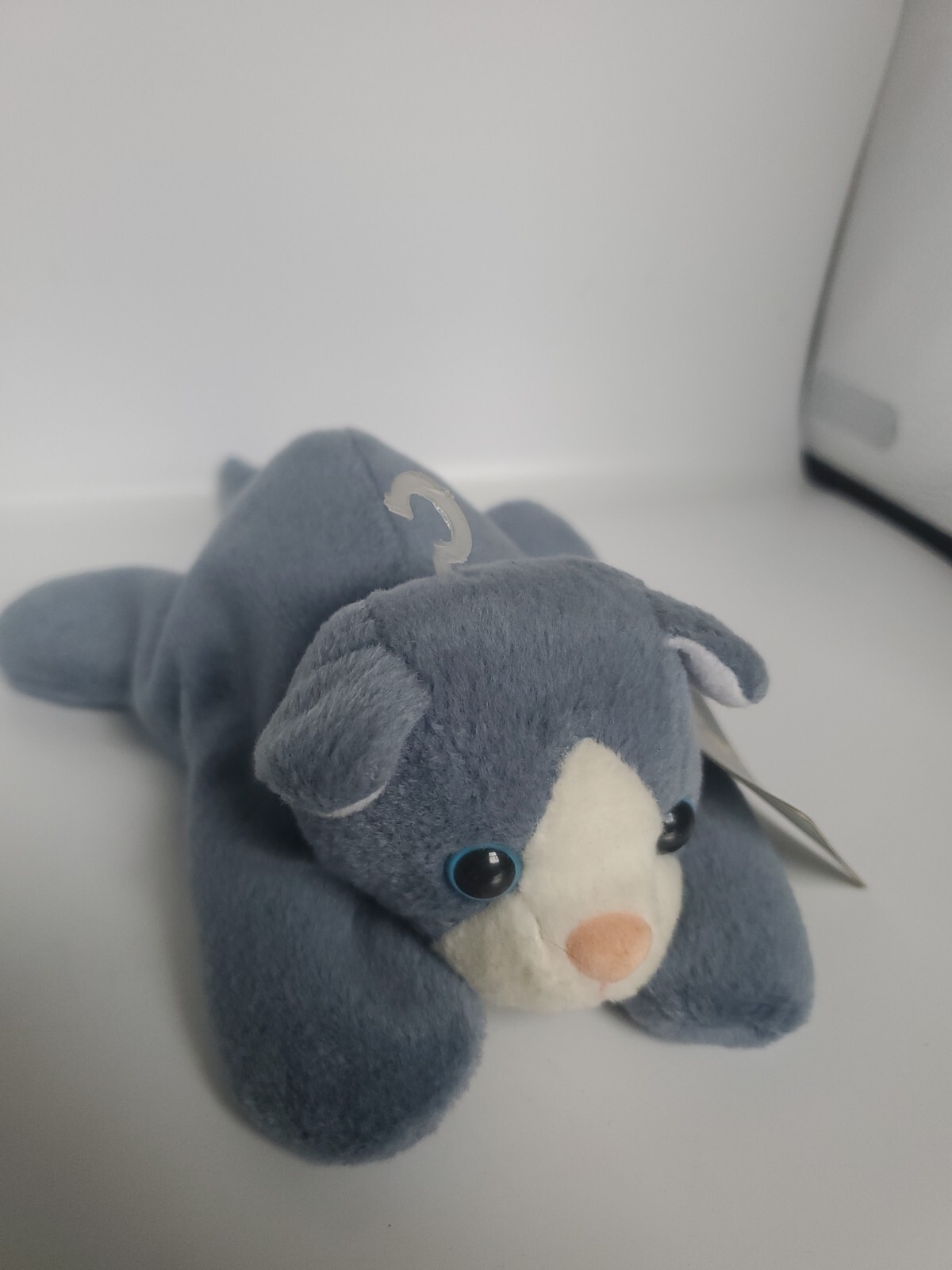 NEW 24K BEANIE BOPPERS ASHES THE CAT 1997 PLUSH STUFFED ANIMAL SPECIAL ...