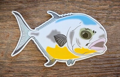 Fishing Bumper Stickers PERMIT 5" x 3" decals fly fishing saltwater fly ...