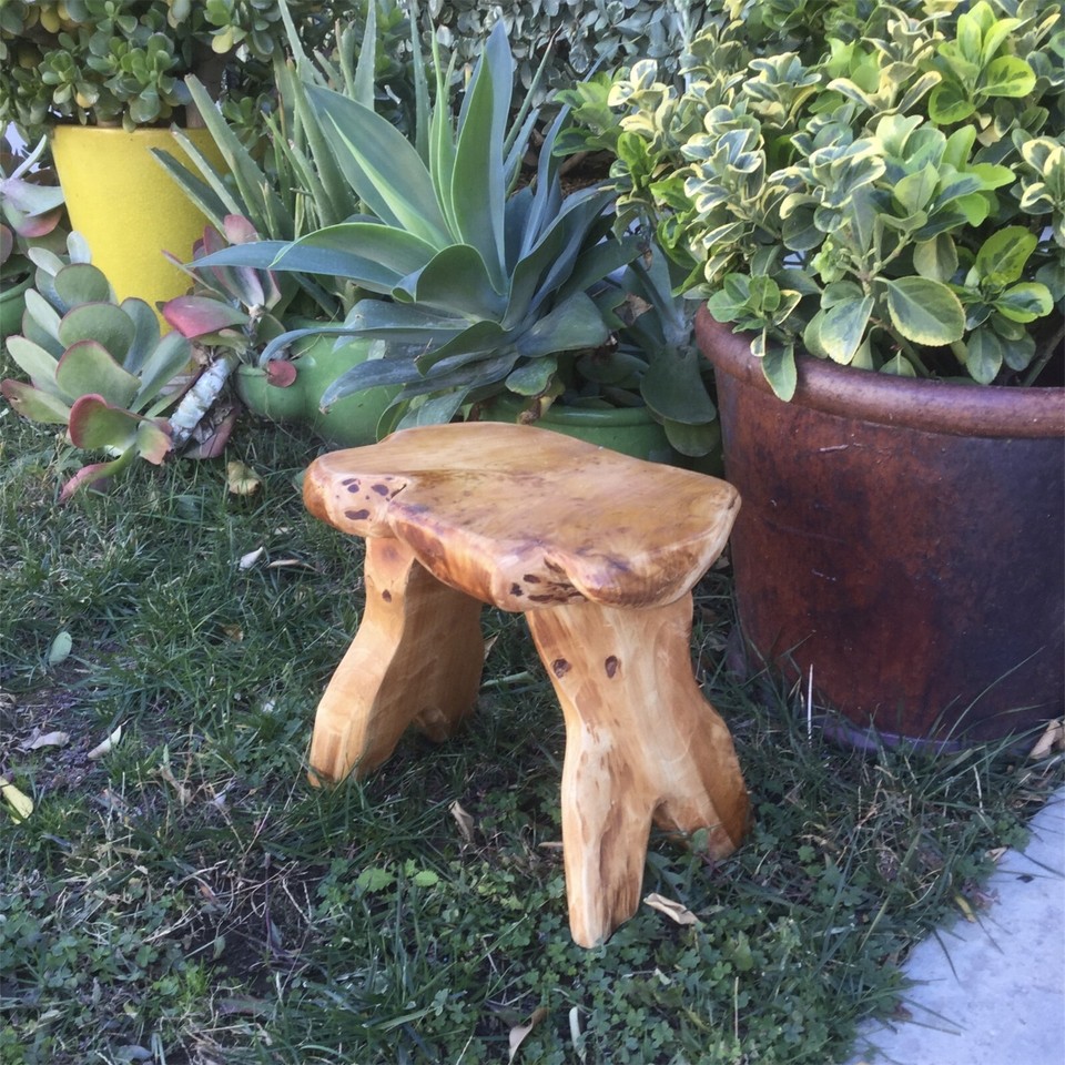 Rustic Natural Edge Cedar Wood Bench Stool End Side Table Unique Accent ...