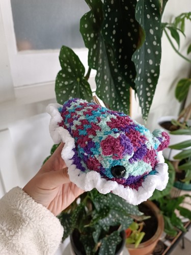 Amigurumi Sluggish Sea Slug Crochet Plush Handmade 19cm | eBay