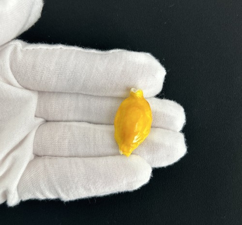 Handmade Clay Cypraea moneta, Monetaria moneta – Rostrated, 28.7mm ...