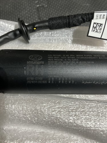 81780-D3100 2016-2020 Hyundai Tucson Power Liftgate Strut | eBay