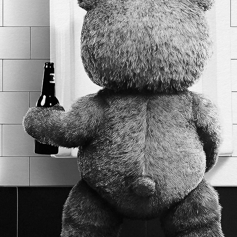 Funny Ted Movie Bathroom Poster, Humorous Toilet Wall Art, Dorm Room ...