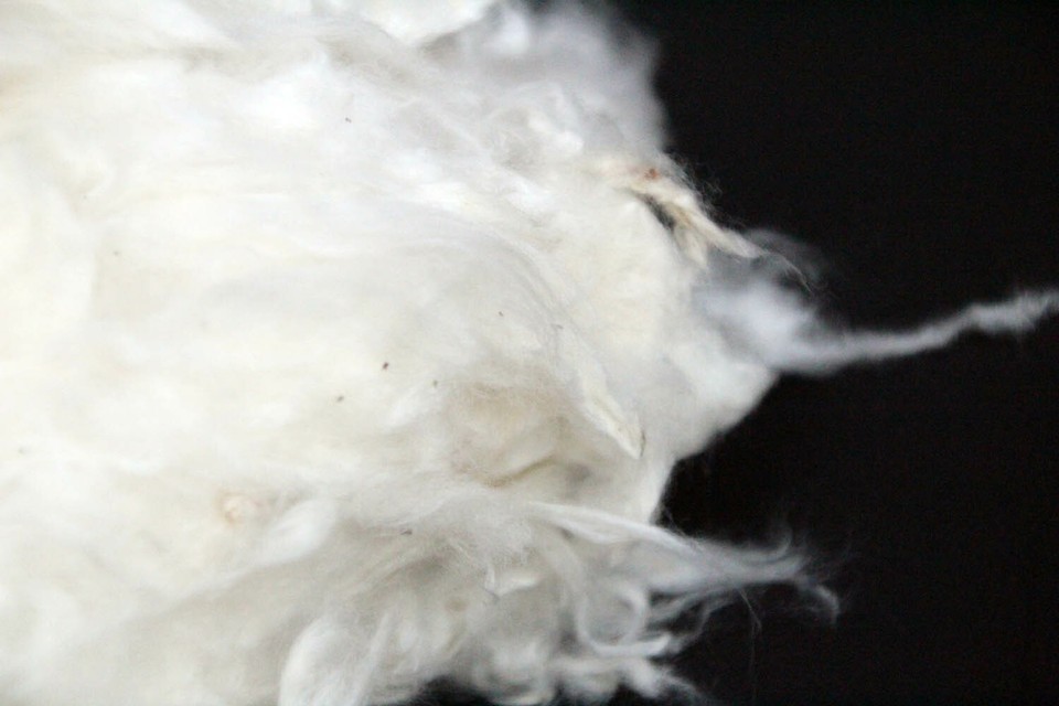 Fine quality Pure Cotton Fiber Waste for Spinning, Felting- 1 Kg | eBay UK