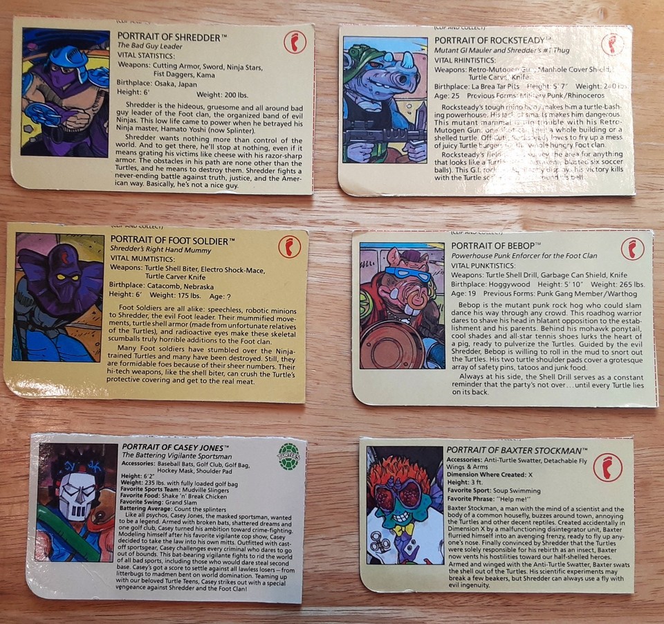 Vintage Teenage Mutant Ninja Turtles Profile Card Lot of 22 TMNT File ...
