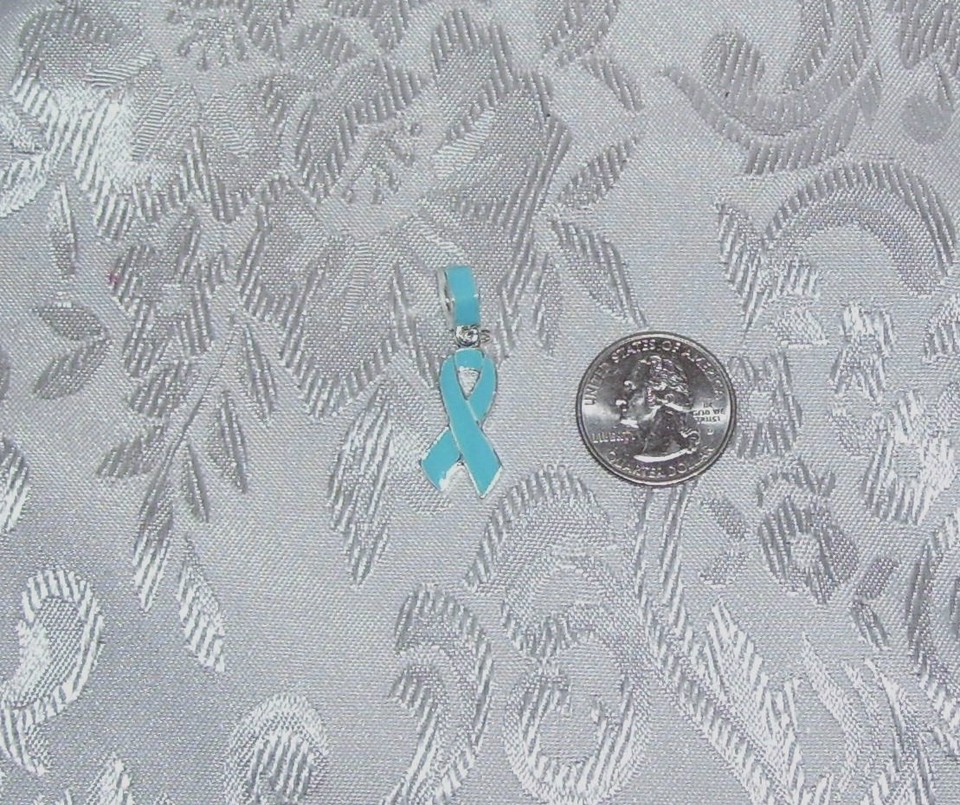 BLUE RIBBON ANOREXIA EATING DISORDER AWARENESS DANGLE EUROPEAN BRACELET ...