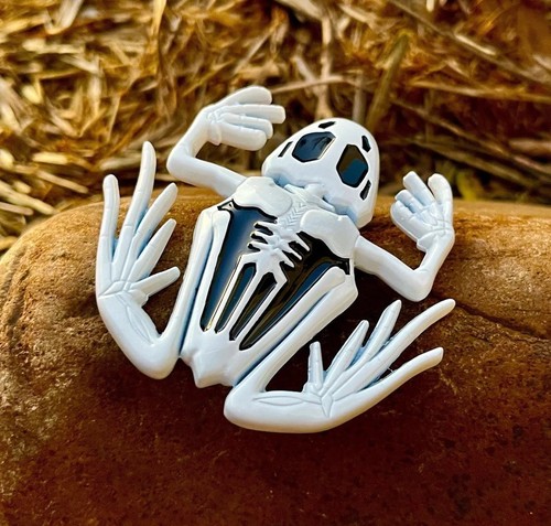 Navy Seals Bone Skull Skeleton Frog Seal Team VI 6 Challenge Coin NSW ...