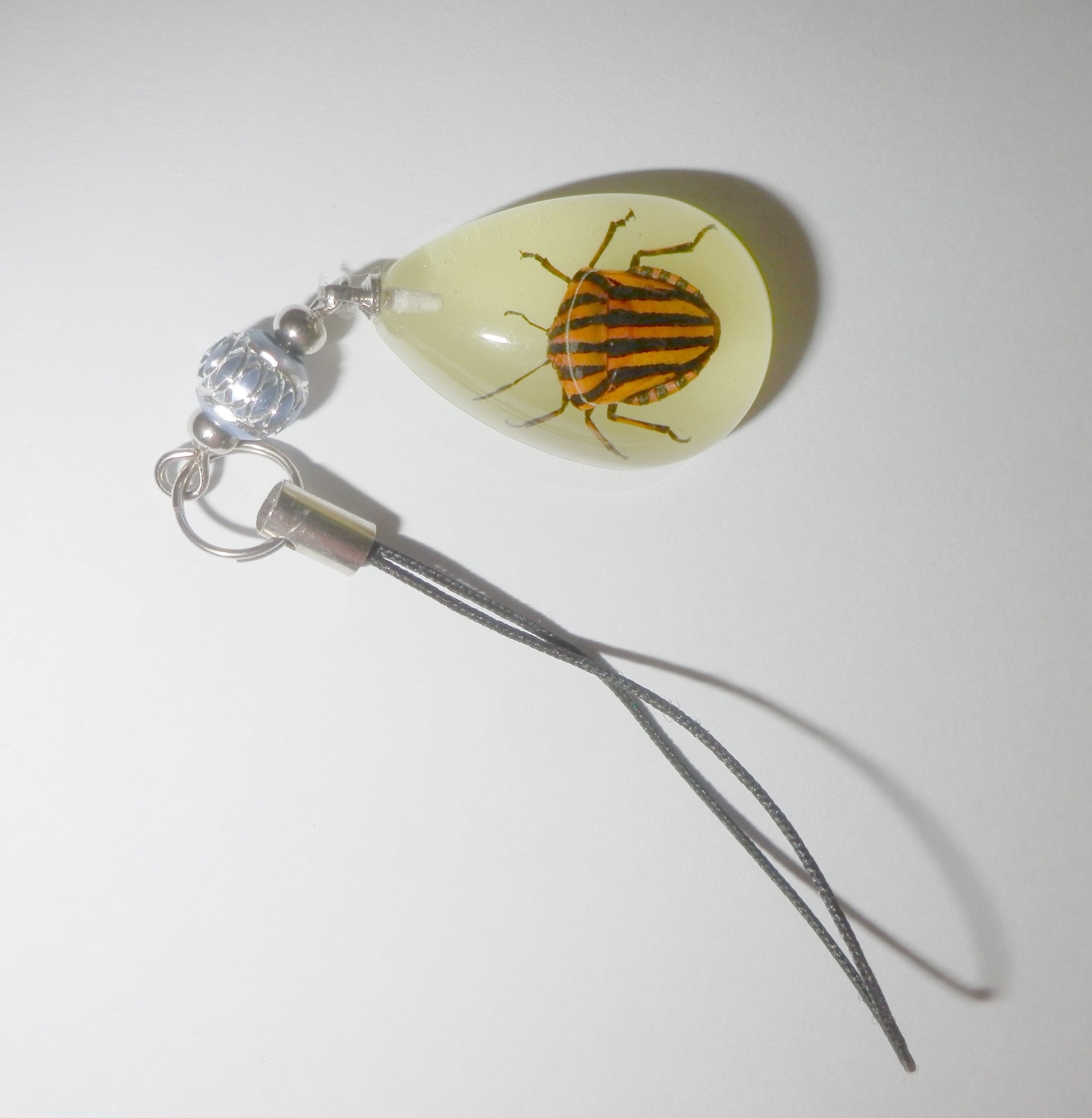 Insect Hanger Stripe Bug Graphosoma rubrolineata Oval Shape YS06 Glow ...