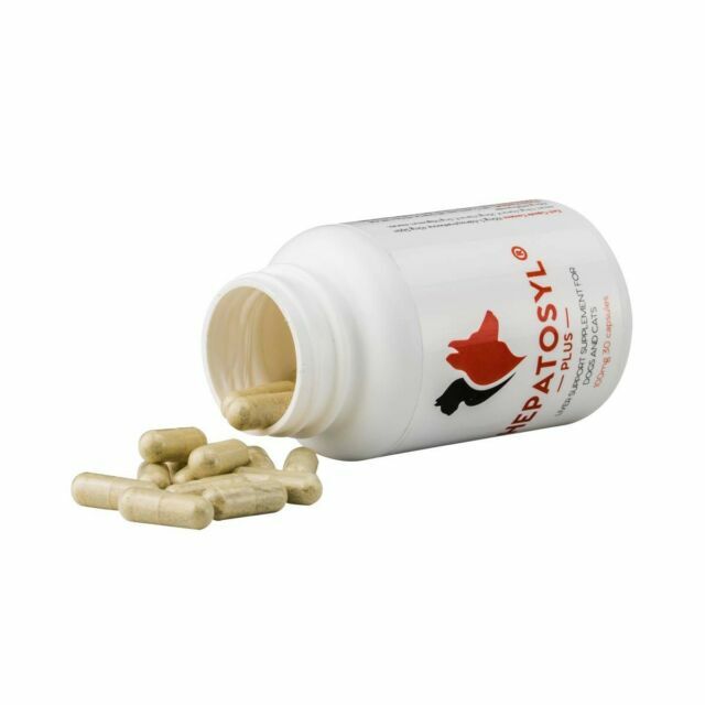 Hepatosyl Plus Liver Support | Dogs, Cats | Liver/Hepatic | eBay