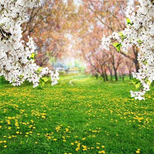 7X7Ft Spring Scenic Backdrop for Photography Garden Flowers Background ...