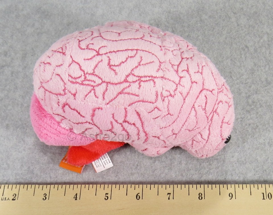 GIANT MICROBES-BRAIN ORGAN-Stuffed Plush Mind Stem Cell Memory Thoughts ...