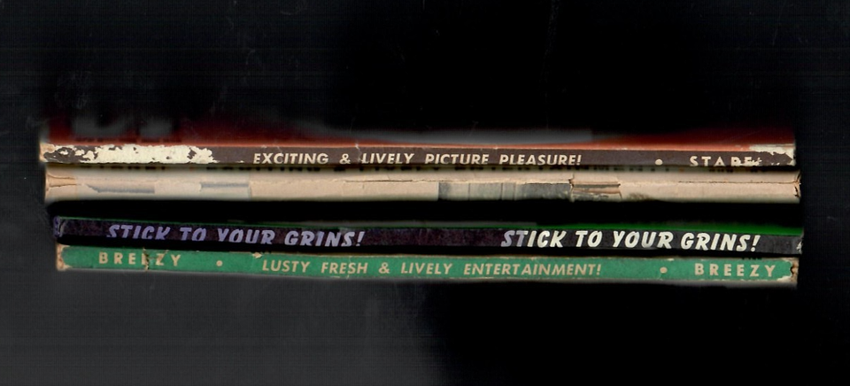 Lot Of 4 Low Grade Men's Cheesecake/ Humor Digest Magazines STARE ...