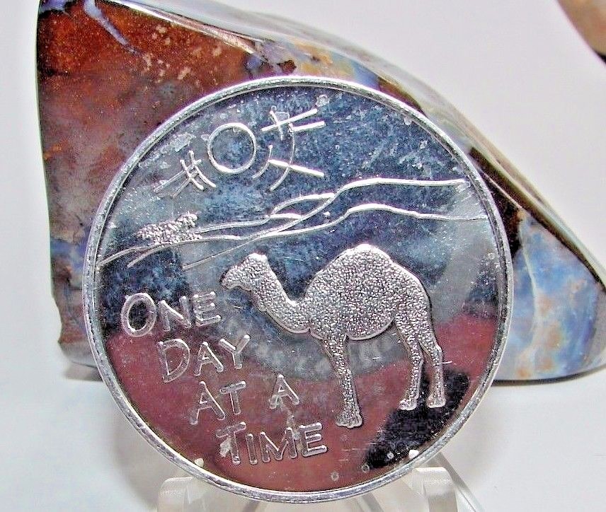 Alcoholics Anonymous AA One Day At A Time Camel Aluminum Medallion Coin ...
