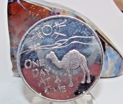 Alcoholics Anonymous AA One Day At A Time Camel Aluminum Medallion Coin ...