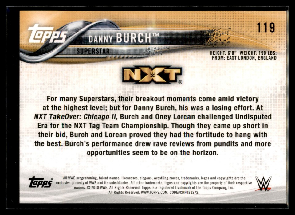 2018 Topps Then Now Forever WWE Wrestling BRONZE #119 Danny Burch - NXT ...