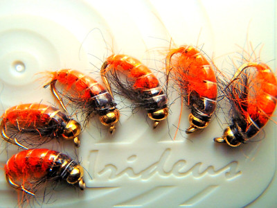 Irideus Fireball Czech Nymph flies Bottom Roller Flesh Maggot Trout Fly ...