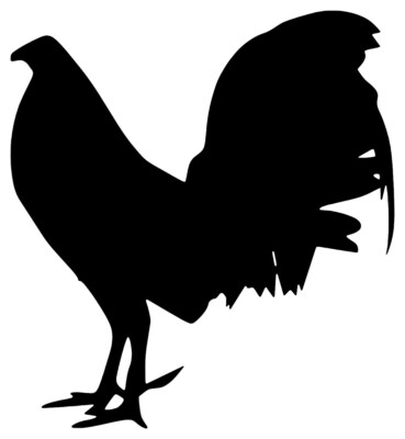 Gallo Rooster Vinyl Decal | eBay