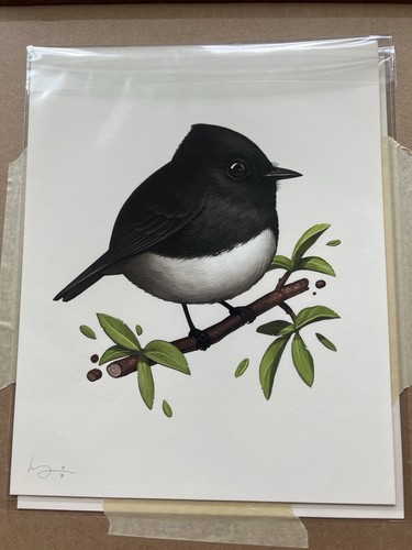 Mike Mitchell Black Phoebe 2017 art print Fat birds A/P Rare Sold Out ...