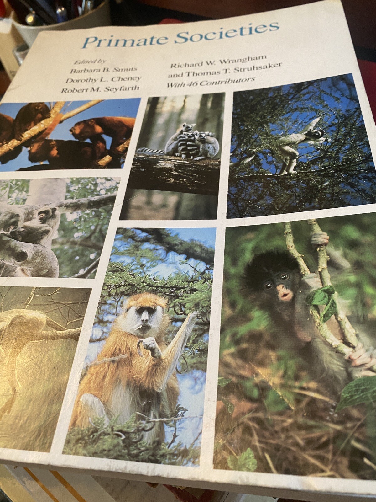 Primate Societies Edited by Barbara Smuts Softcover 1987 Very RARE | eBay