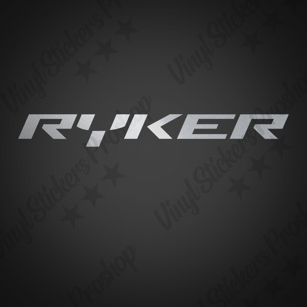 Lot 2 stickers pour RYKER CAN-AM Gris métal BRP tuning autocollant logo 900 quad | eBay