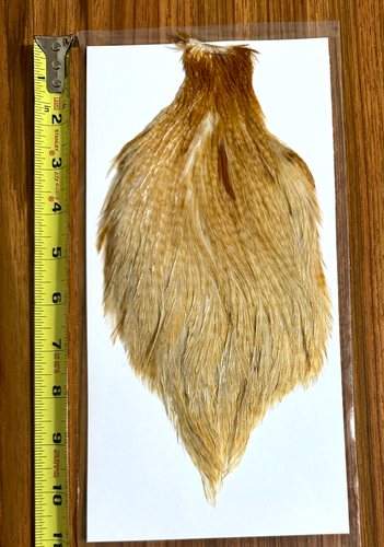 Ginger Rooster Cape, Neck, Fly Tying, NR | eBay