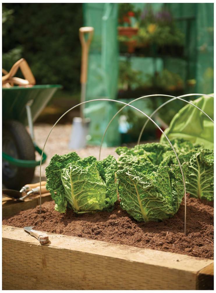 3 X Gardman Grow Tunnel Polytunnel Cloche Galvanised Steel Support ...