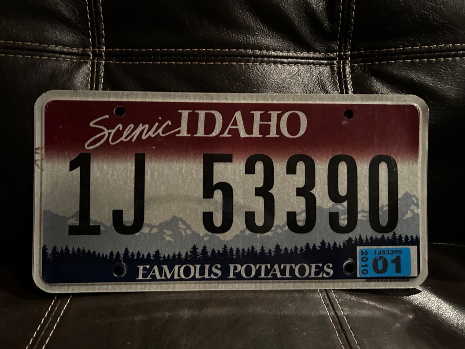 Vintage Idaho 2010 License Plate- Scenic Idaho/Famous Potatoes- 1J ...
