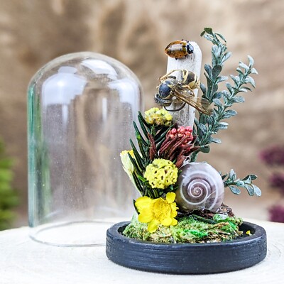 o21g Yellow Jacket Wasp Glass Dome Display Entomology Taxidermy Mini ...