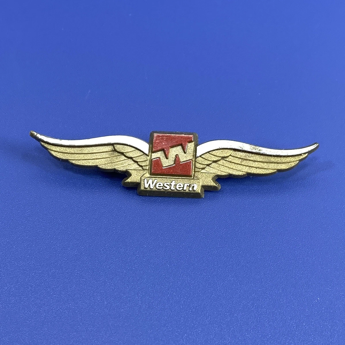 Flying Wings Pin