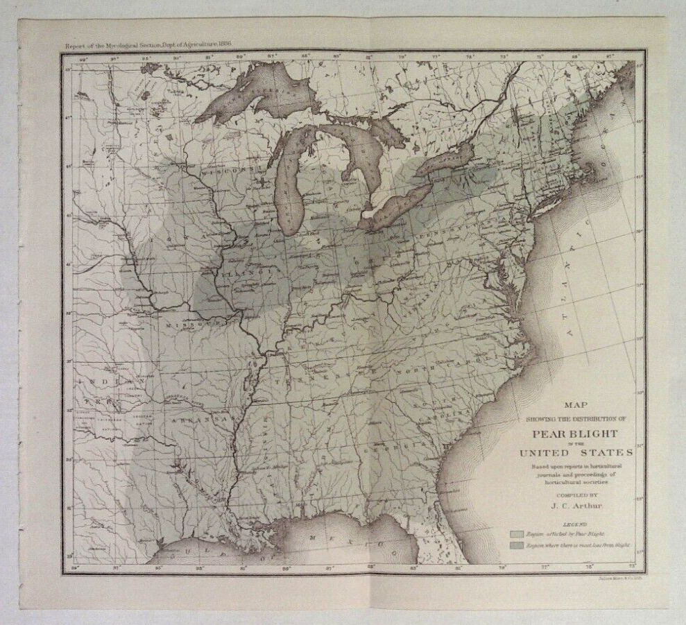 1886 MAP SHOWING THE DISTRIBUTION OF PEAR BLIGHT IN THE UNITED STATES ...