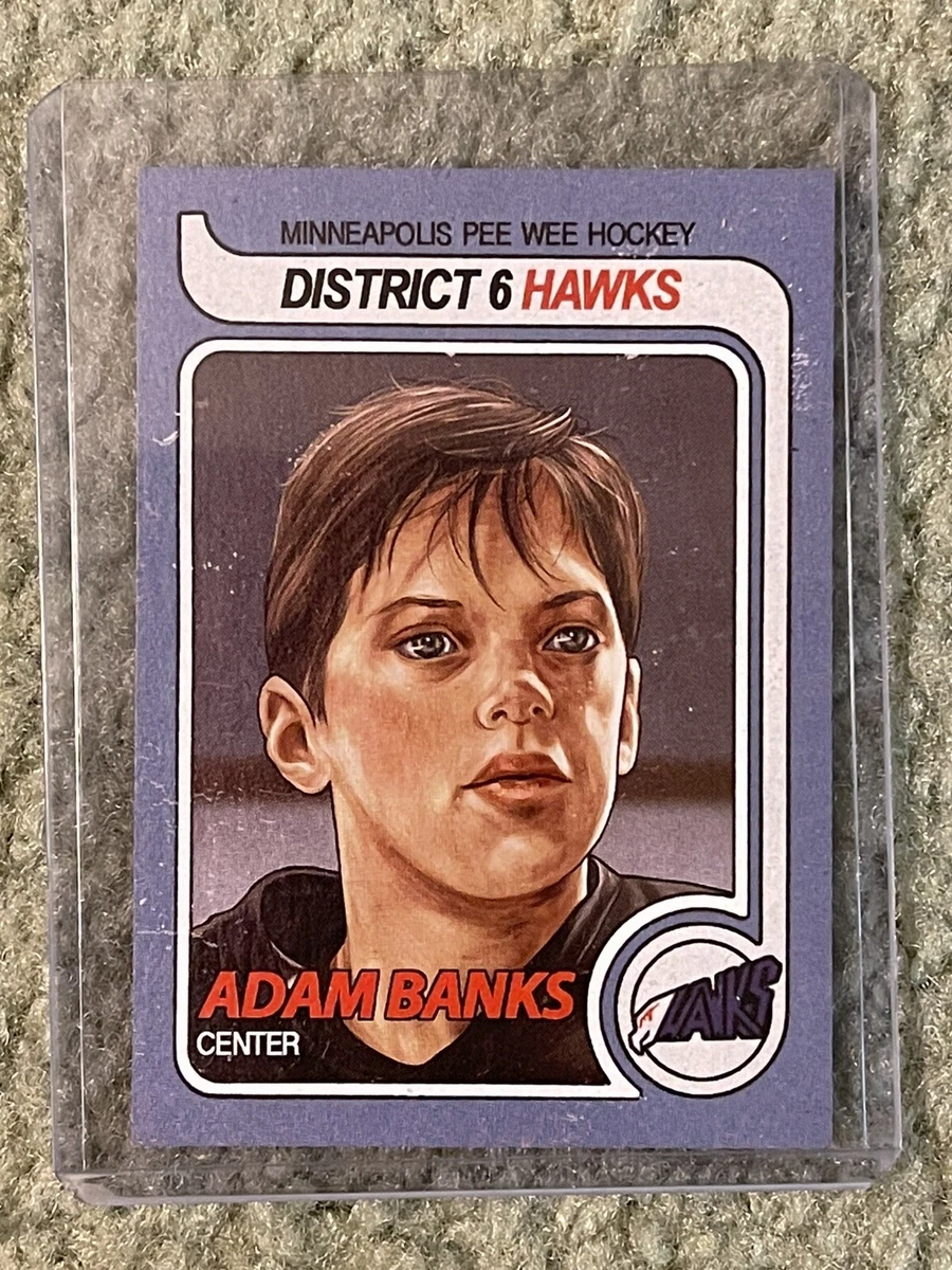 The Mighty Ducks Banks