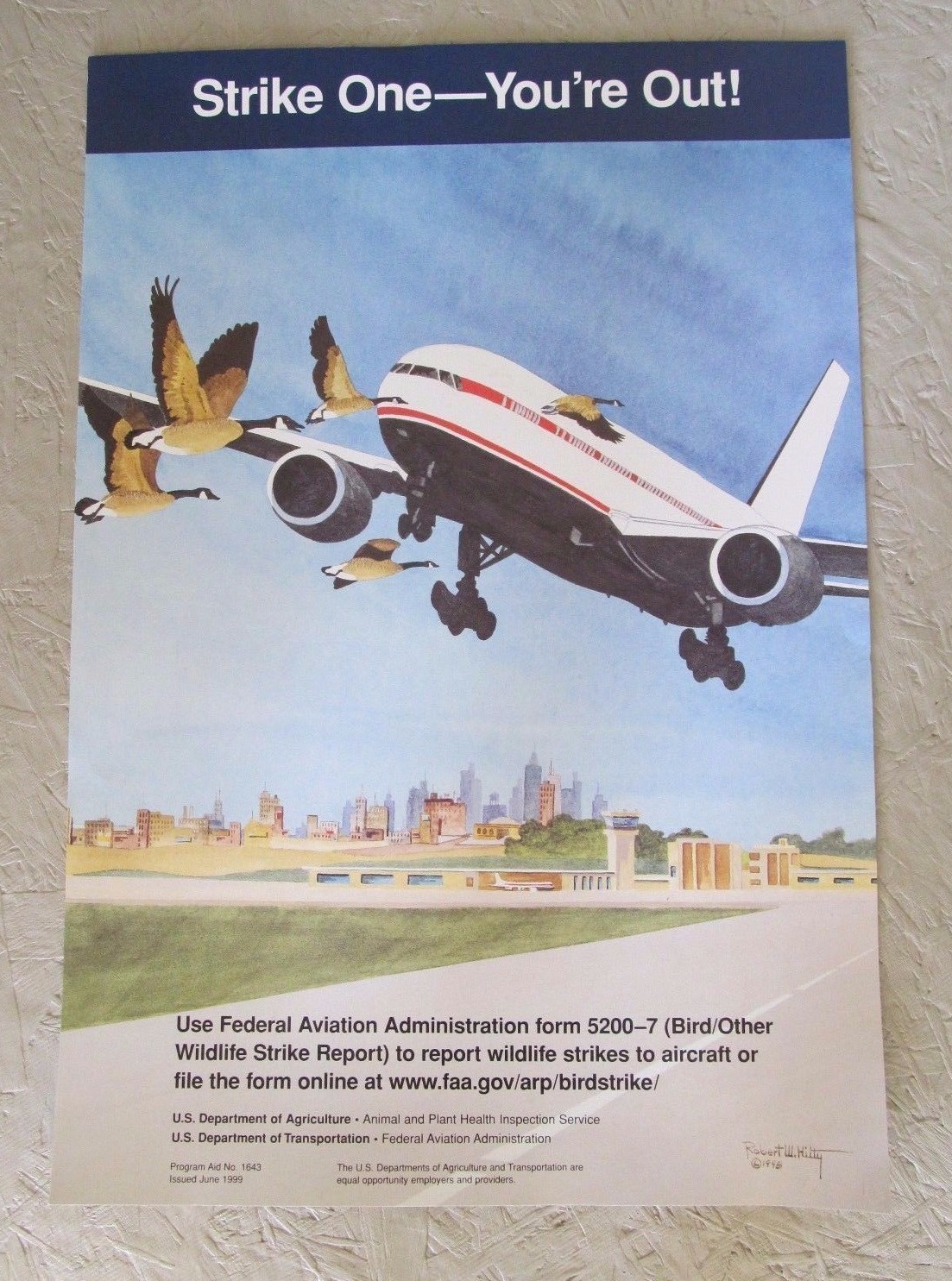 Airplane Poster Print Aviation 22" FAA Wildlife Bird Strike Robert W ...