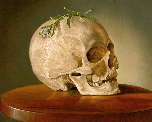 Still life with a skull and a forget-me-not (1860) oil painting Art ...