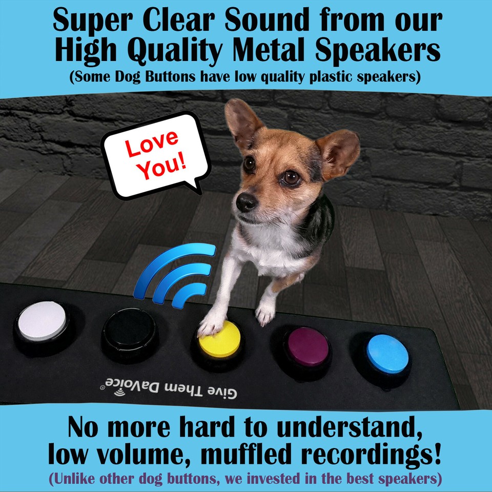 Talking Pet Starter Recordable Speaking Buttons Dog Training ...