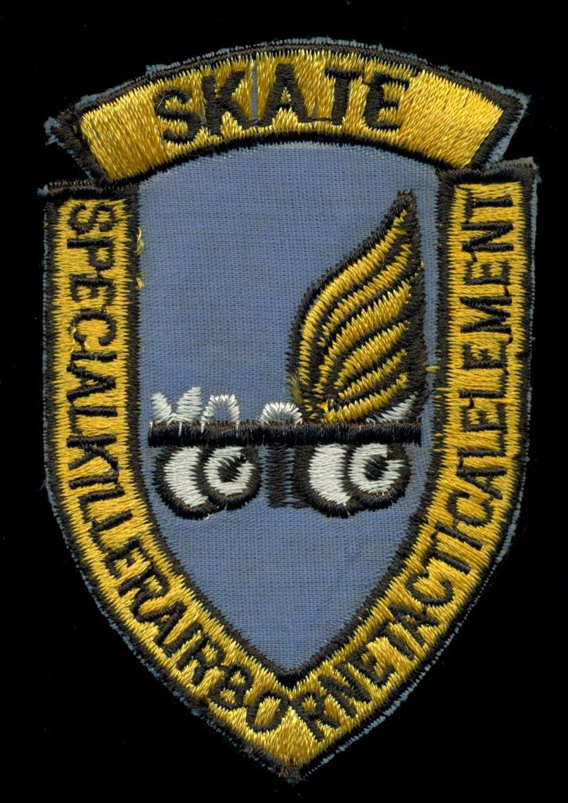 US Army Skate Special Killer Airborne Tactical Element Vietnam Patch F ...