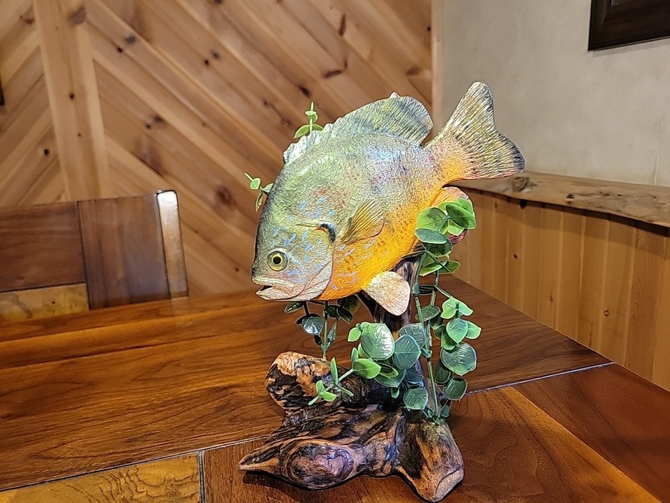 Casey Edwards Wood Carving Pumpkinseed Sunfish Fish Taxidermy Panfish ...