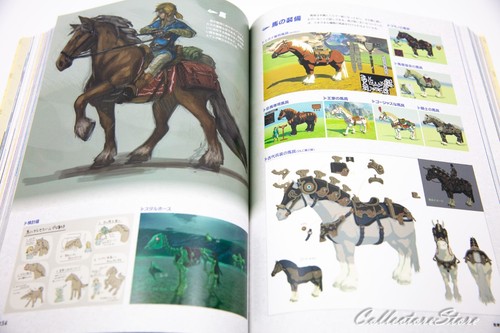 The Legend of Zelda Breath of the Wild Master Works Art Book (FedEx/DHL ...