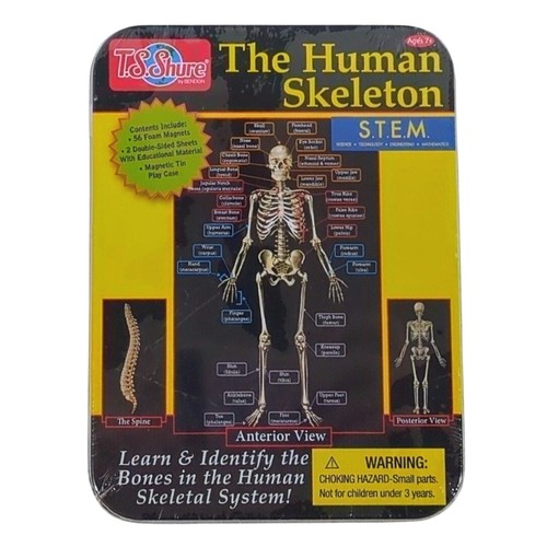 T.S. Shure Human Skeleton Magnetic Science Tin STEM Activity 56 Bones ...