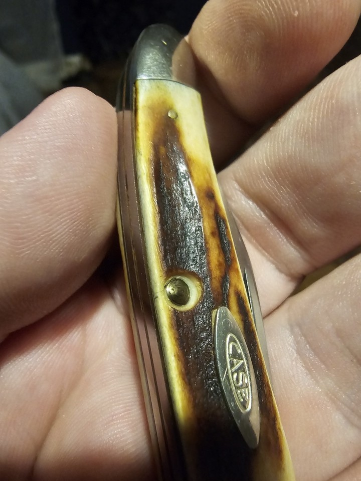 Vintage 1977 Case XX 52087 SSP Blue Scroll Stag Knife | eBay
