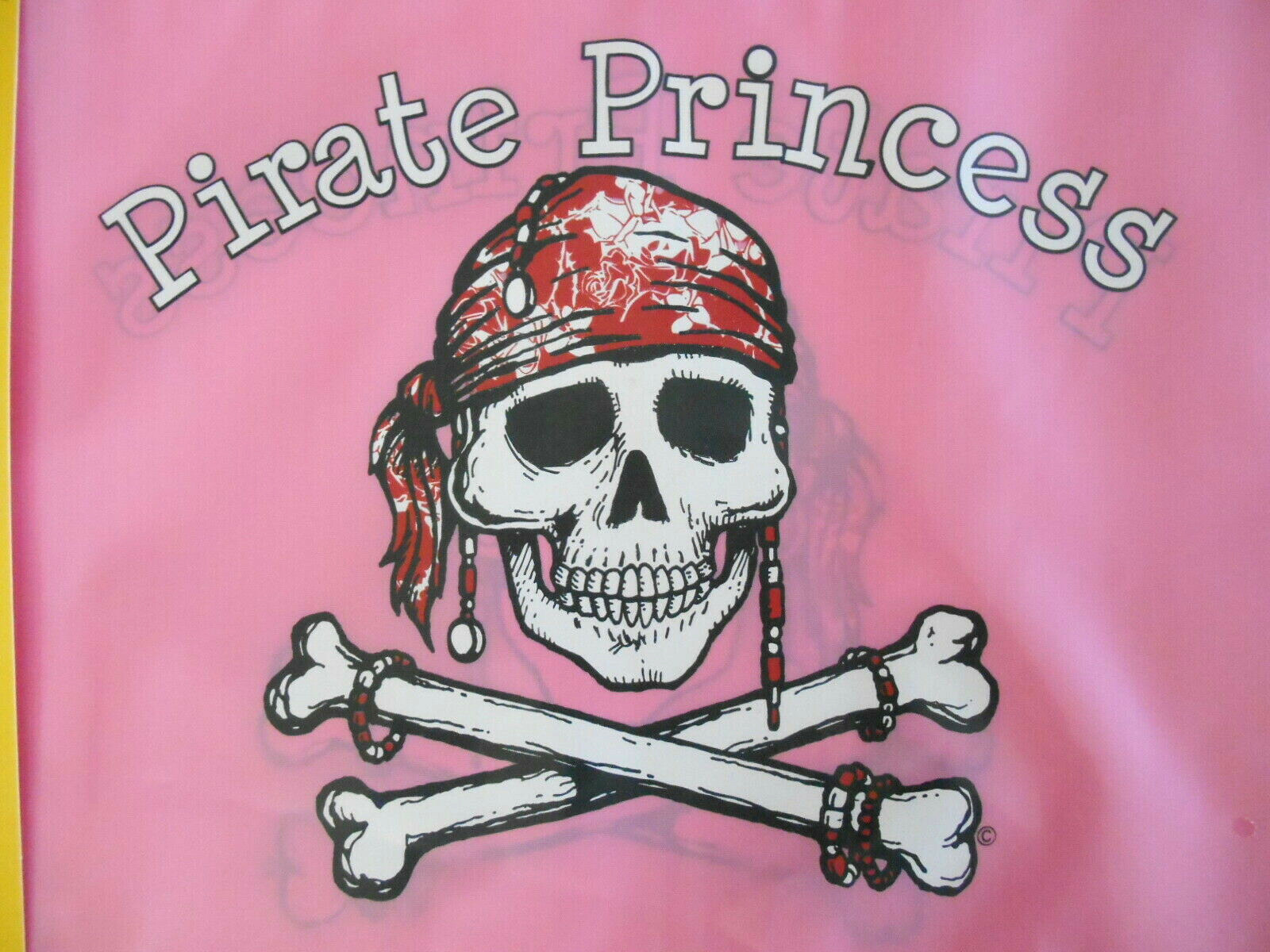 Pirate Princess 12" x 18" Double Sided 200denier Fade Weather Resist ...
