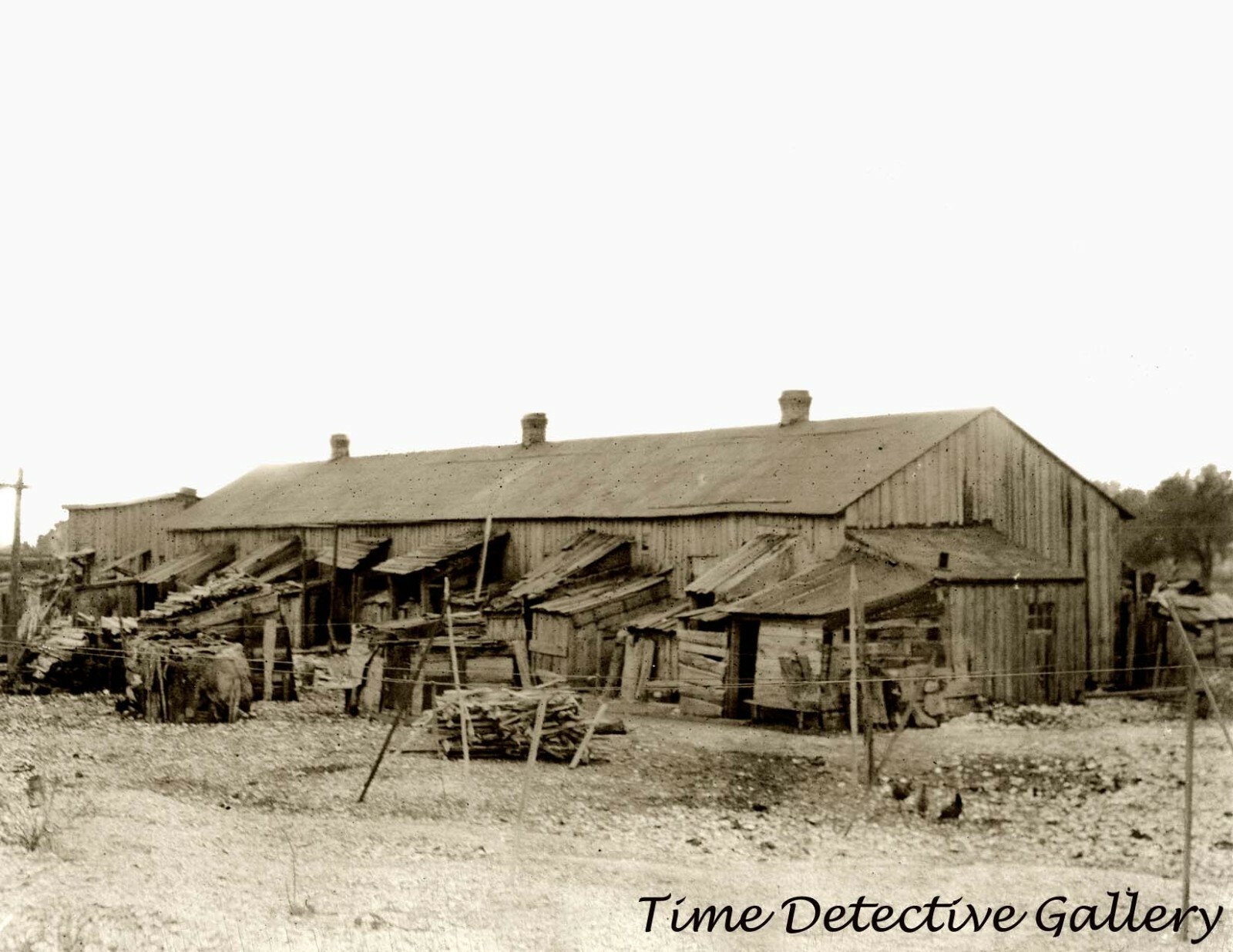 Oyster Shucker's Shacks, Port Royal Is., S. Carolina c1910- Historic ...