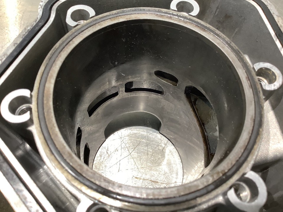 1999-2020 MXZ Summit 600/500ss Ski-Doo OEM Engine Motor Cylinder Bore ...