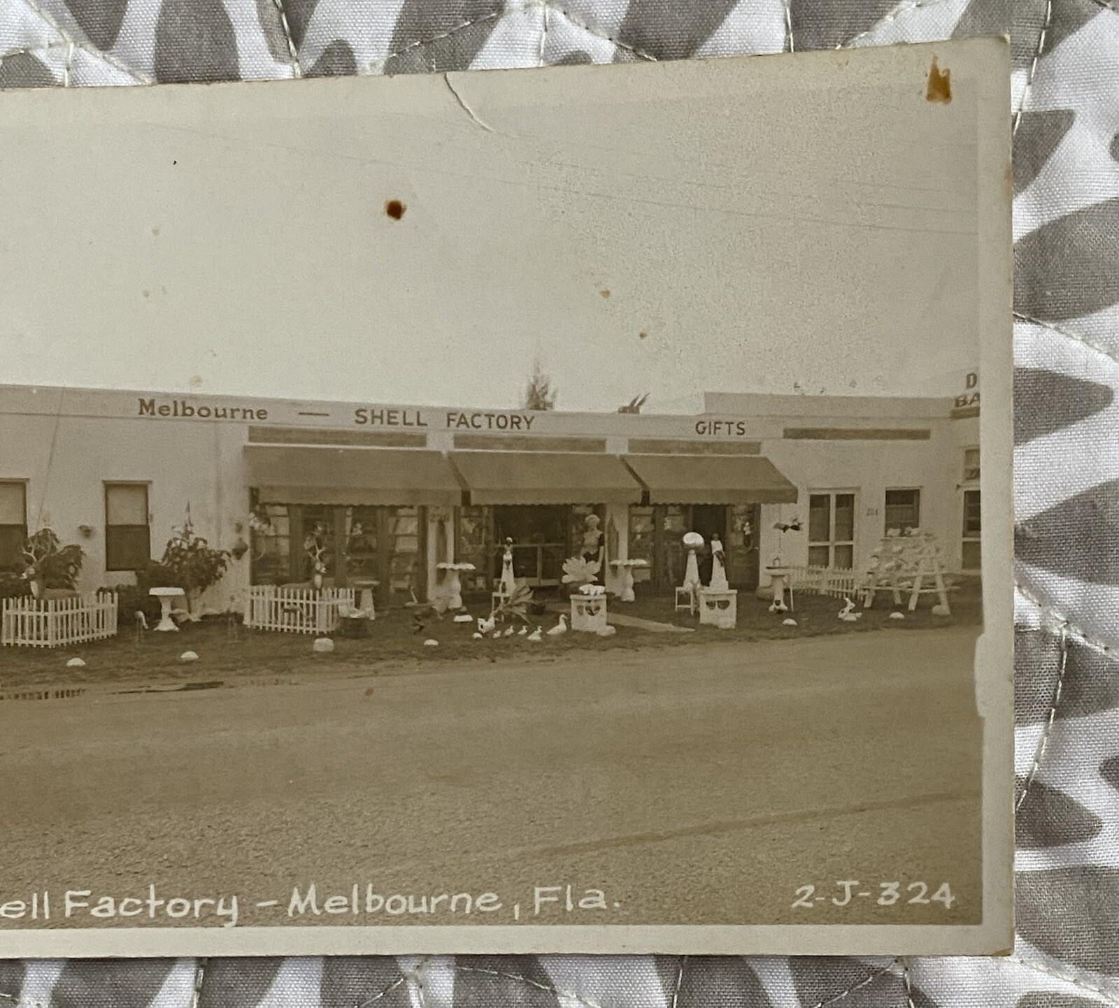 Old Postcard, Real Photo Melbourne Florida Shell Factory | eBay