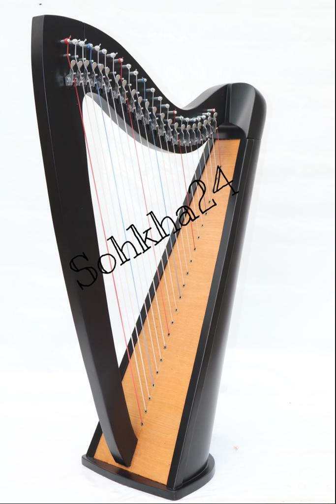 22 Strings Black Round Shape Harp with Levers,Extra Strings,Bag & Key ...