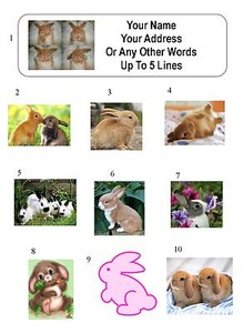 30 Bunny / Rabbit Personalized Address Labels | eBay