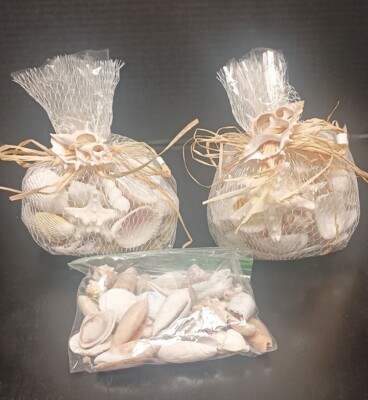 Beach Shells Sea Shells Light Colored Vase Filler | eBay