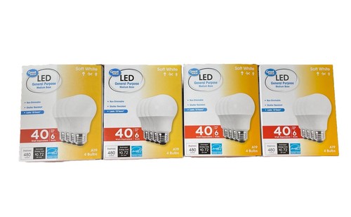 16 Great Value LED Light Bulbs, 6W (40W Equivalent) A19 General Lamp ...