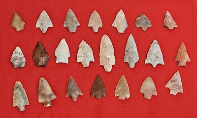 Authentic Florida Arrowheads, excellent collection. | eBay